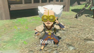 Robbie - Zelda Wiki