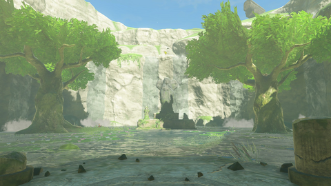 Spring of Power - Zelda Wiki