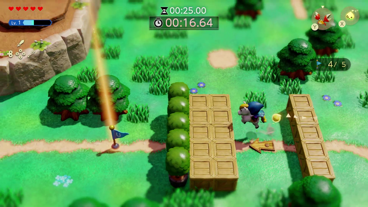Flag Race - Zelda Wiki