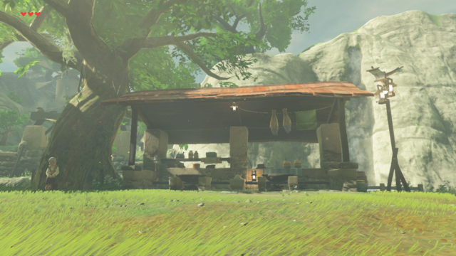 Shared Cooking Space - Zelda Wiki