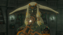 Mineru's Counsel - Zelda Wiki