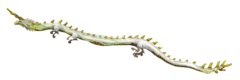 Farosh - Zelda Wiki