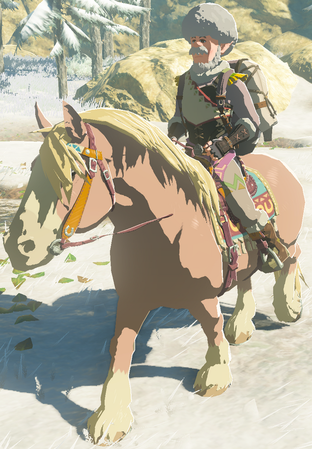 Pondo - Zelda Wiki