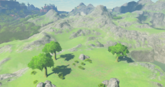Faron Grasslands - Zelda Wiki