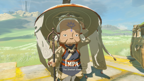 Impa and the Geoglyphs - Zelda Wiki