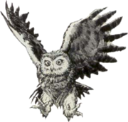 Owl - Zelda Wiki