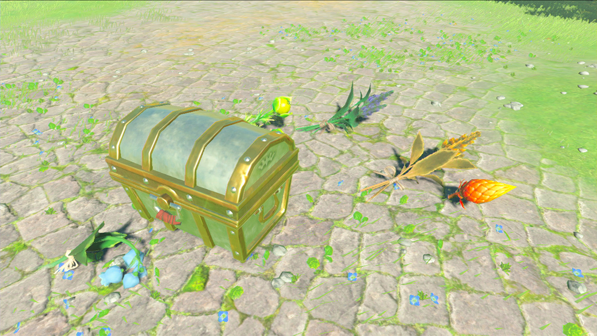 File:BotW Zelda (The Wind Waker) amiibo Promotional Screenshot.png ...