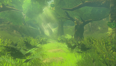 Korok - Zelda Wiki