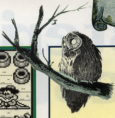 Owl - Zelda Wiki