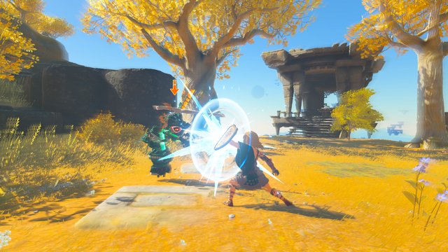 Perfect Guard - Zelda Wiki