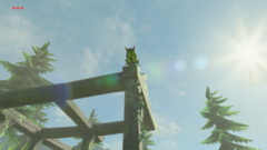 Rowan Plain - Zelda Wiki