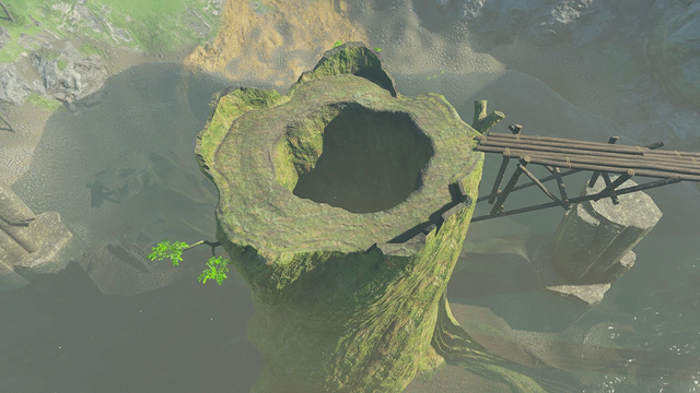 Ancient Tree Stump (Voice Memory) - Zelda Wiki