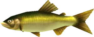 Fish - Zelda Wiki