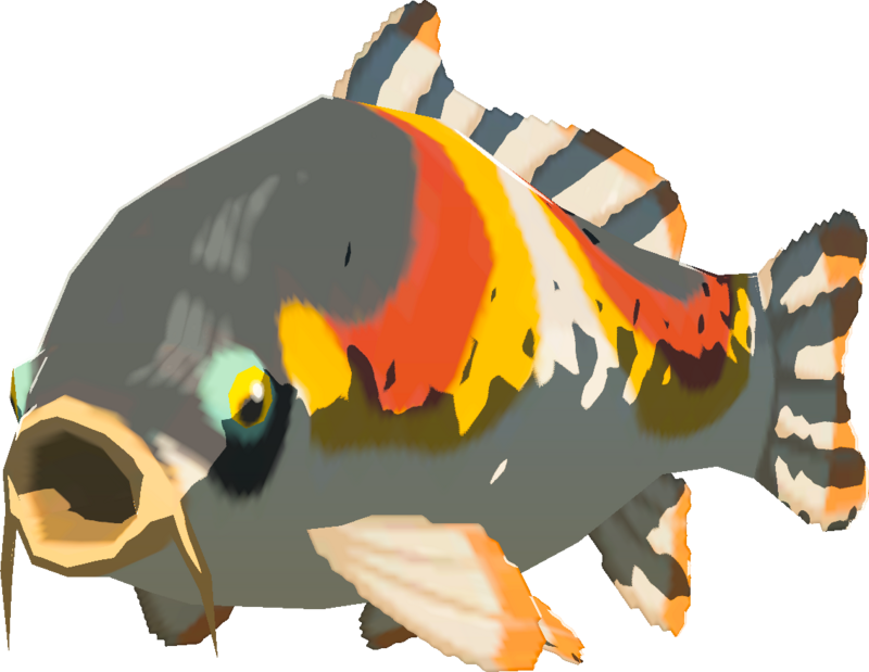 Sanke Carp - Zelda Wiki