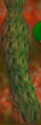Inside Jabu-Jabu's Belly - Zelda Wiki