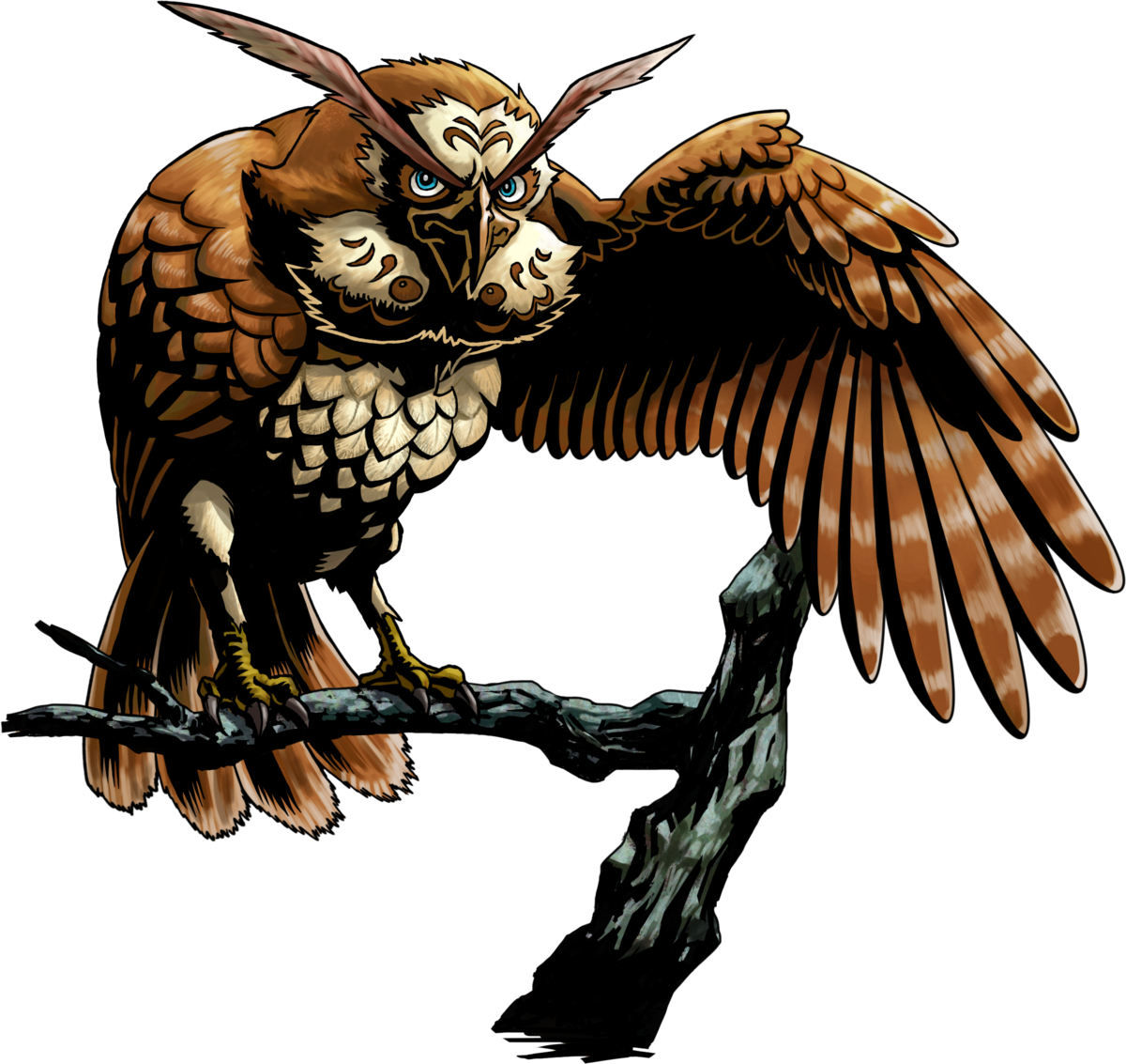 Kaepora Gaebora - Zelda Wiki