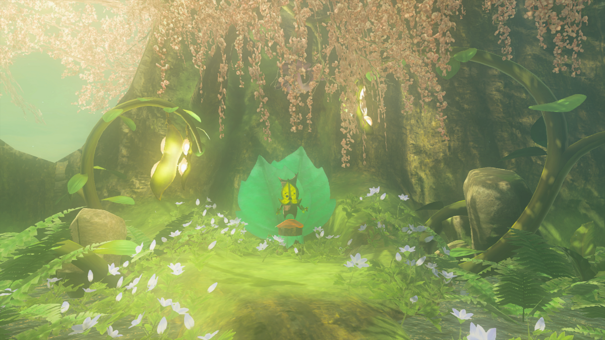 Walton's Treasure Hunt - Zelda Wiki