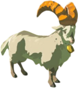 Goat - Zelda Wiki
