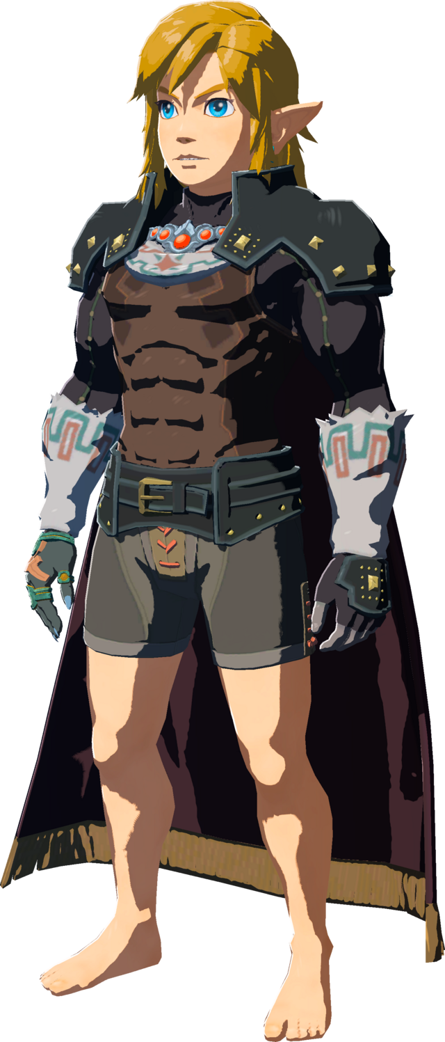 Evil Spirit Armor - Zelda Wiki