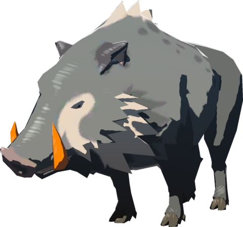 Red-Tusked Boar - Zelda Wiki
