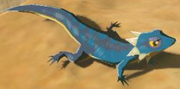 Kara Kara Bazaar - Zelda Wiki