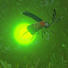 Sunset Firefly - Zelda Wiki