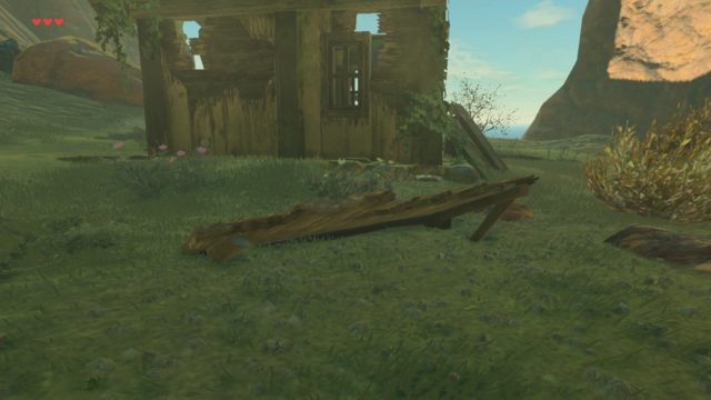 Shadow Hamlet Ruins Well - Zelda Wiki