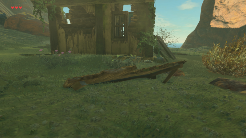 Shadow Hamlet Ruins Well - Zelda Wiki