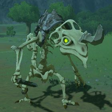 Stalizalfos - Zelda Wiki