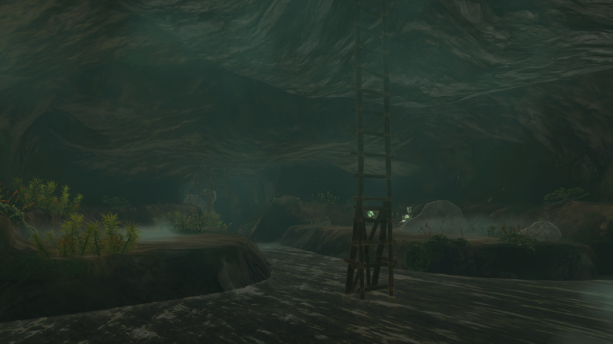 Lookout Landing Well - Zelda Wiki
