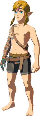 Ruby Circlet - Zelda Wiki