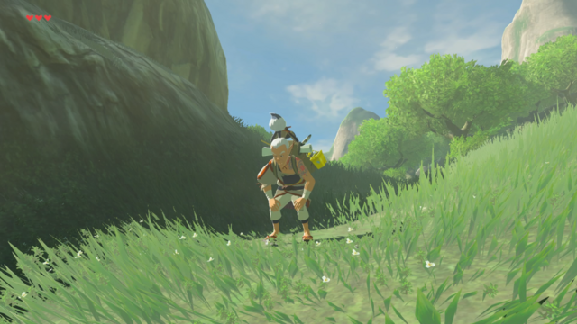 Find the Fairy Fountain - Zelda Wiki