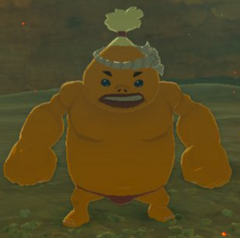 Mount Nabooru - Zelda Wiki