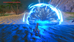 Remote Bomb - Zelda Wiki