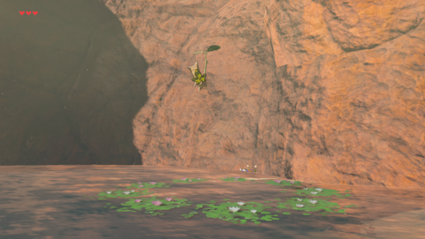 Dive Through the Ring - Zelda Wiki
