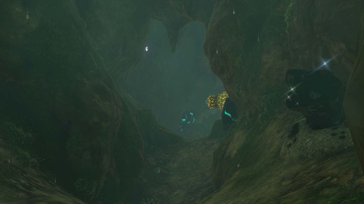 Cora Lakefront Cave - Zelda Wiki