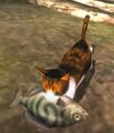 Link (Cat) - Zelda Wiki