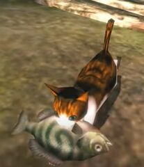 Link (Cat) - Zelda Wiki