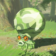 Forest Octorok - Zelda Wiki