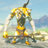 Elite Enemy Picture - Zelda Wiki