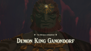 Demon King Ganondorf - Zelda Wiki