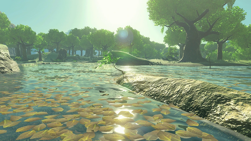 Hot-Footed Frog (Voice Memory) - Zelda Wiki