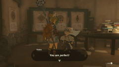 Robbie - Zelda Wiki