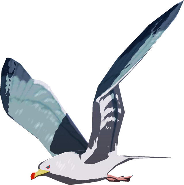 Seagull - Zelda Wiki