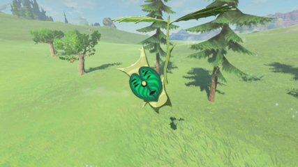 Irch Plain Well - Zelda Wiki