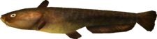 Fish - Zelda Wiki