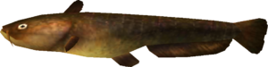Fish - Zelda Wiki
