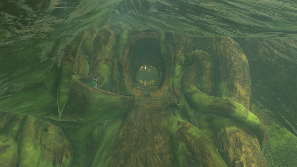 Great Deku Tree's Navel - Zelda Wiki