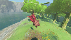 Korok - Zelda Wiki