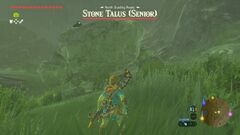 Bosses in Breath of the Wild - Zelda Wiki